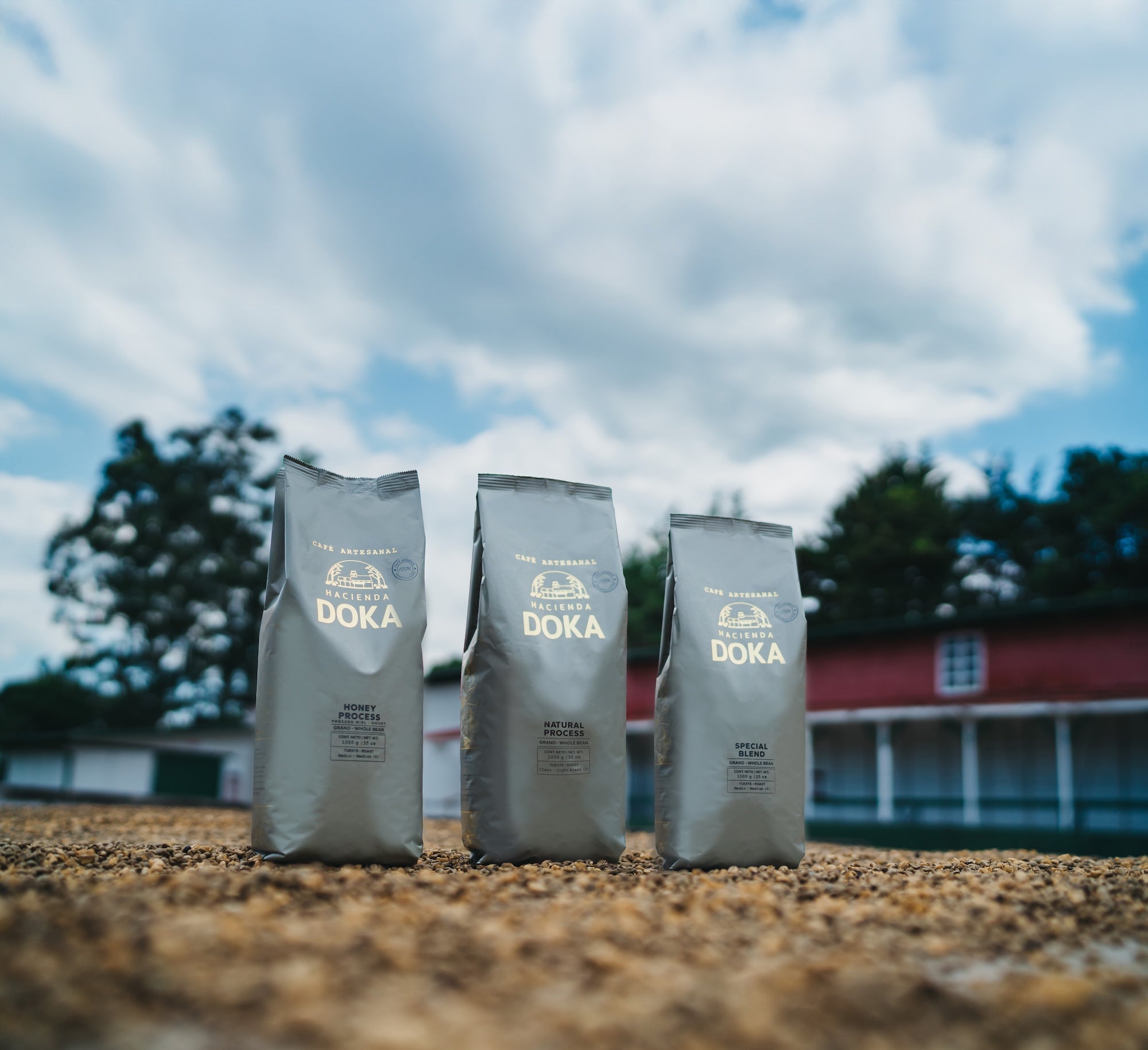 2 LB Coffees – Hacienda Doka
