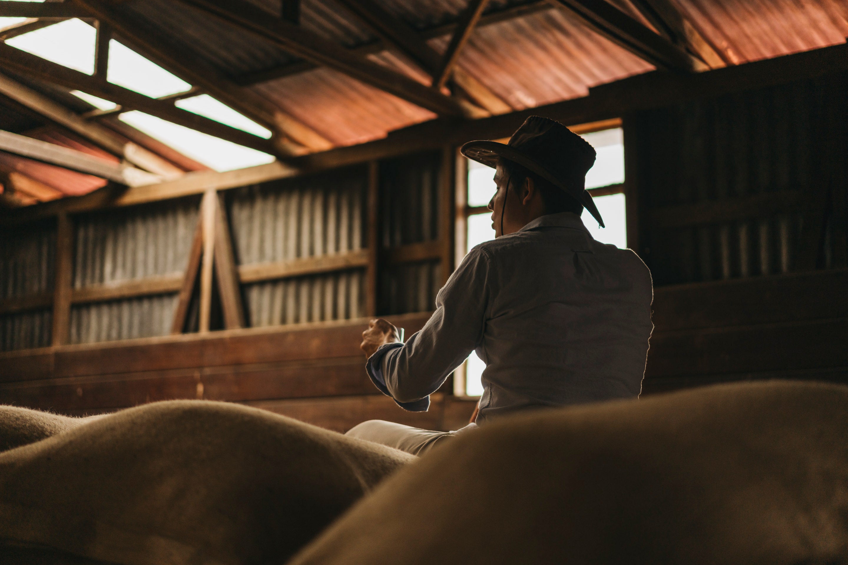 Hacienda Doka Coffee Tour: Best Coffee Experience in Costa Rica