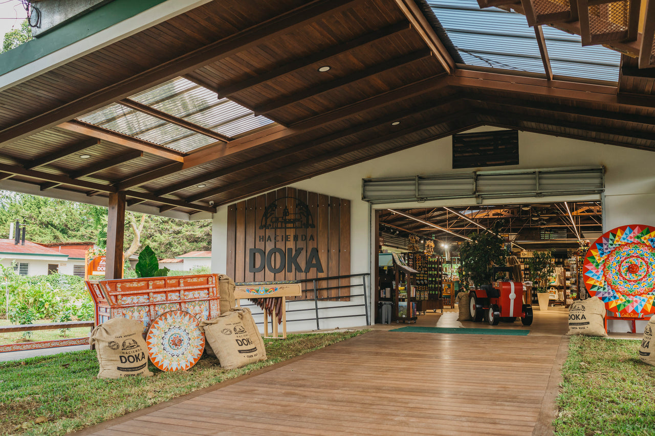 Hacienda Doka Coffee Tour: Best Coffee Experience in Costa Rica
