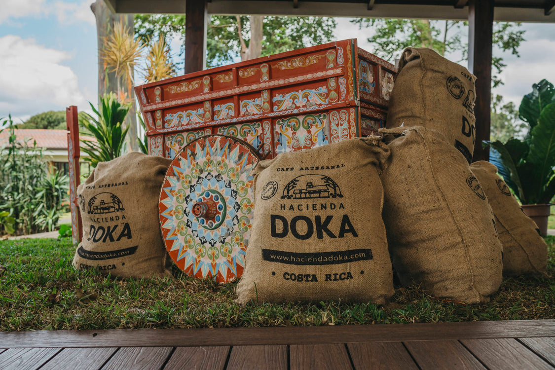 Hacienda Doka Coffee Tour + Poás Volcano Adventure