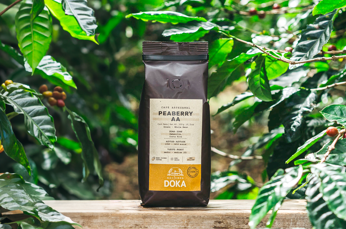 Café Hacienda Doka Peaberry AA | Rare Costa Rican Coffee Experience