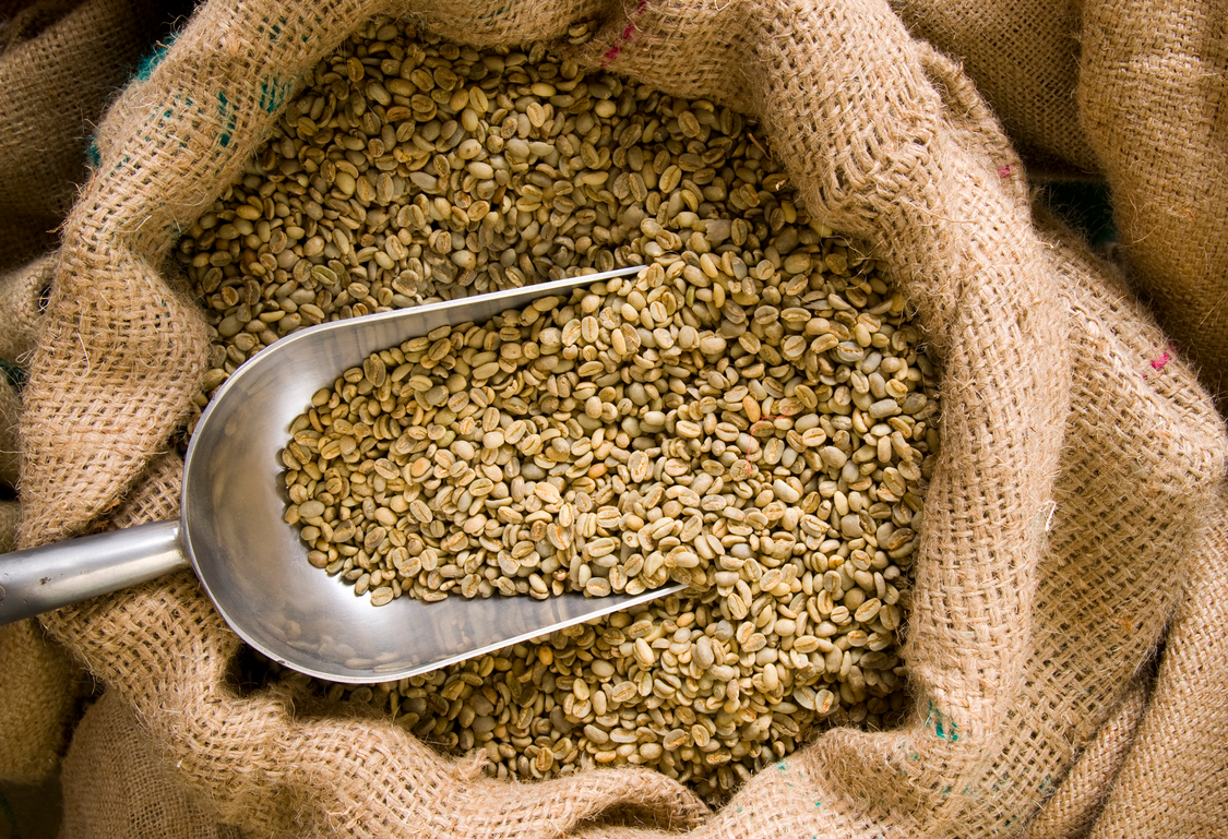 Café Hacienda Doka Peaberry AA | Rare Costa Rican Coffee Experience